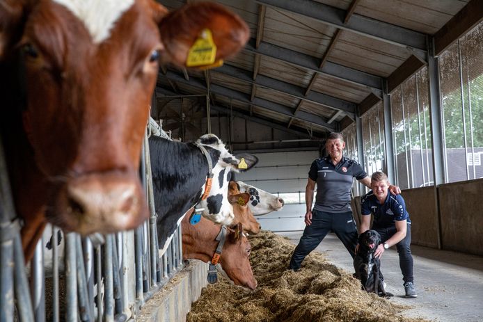 Geliefde trainer Geert Voets gaat zich weer focussen op het boerenleven ...