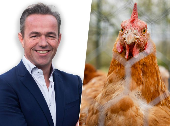 Dennis’ eieren waardeloos door PFAS: wie heeft trek in verse kippensoep ...