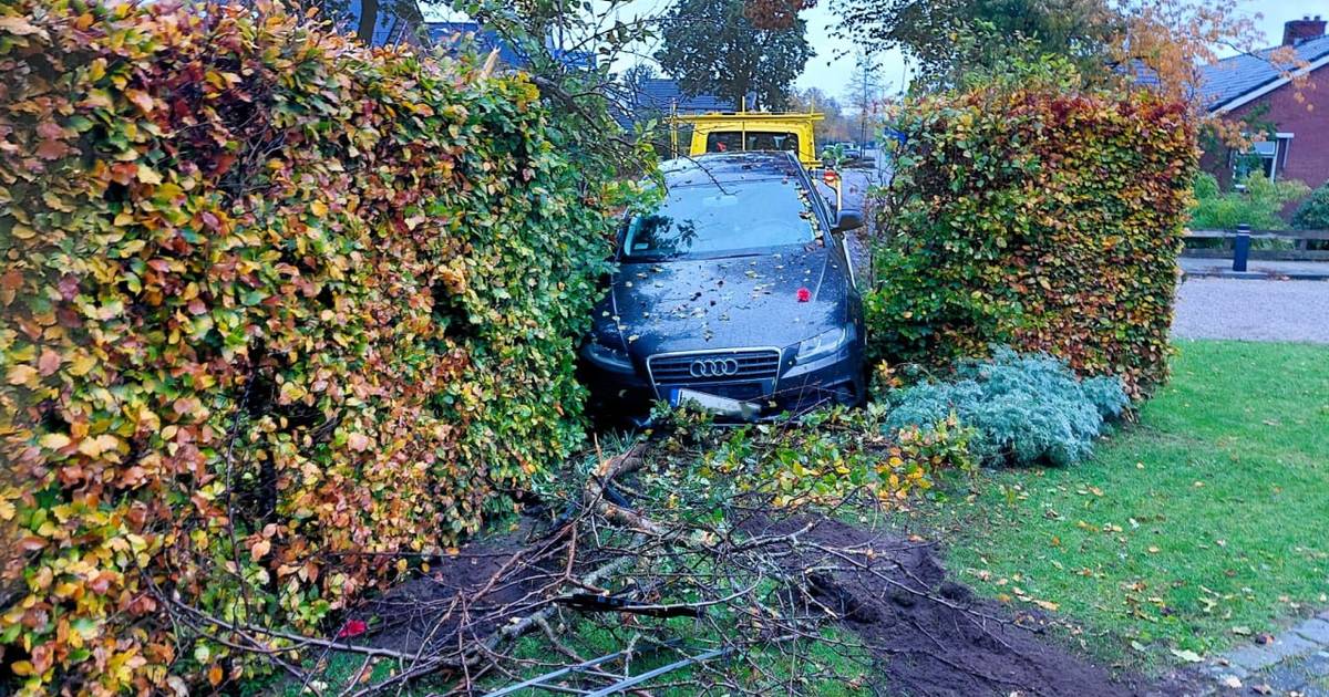 Auto schiet door heg van voortuin, en dat heeft voor de bestuurder ook ...