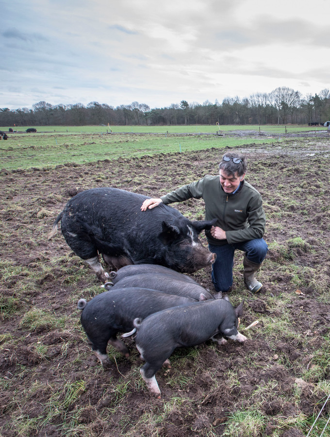 'Varkensfluisteraar' Kees Scheepens uit Oirschot: een dier moet lol ...