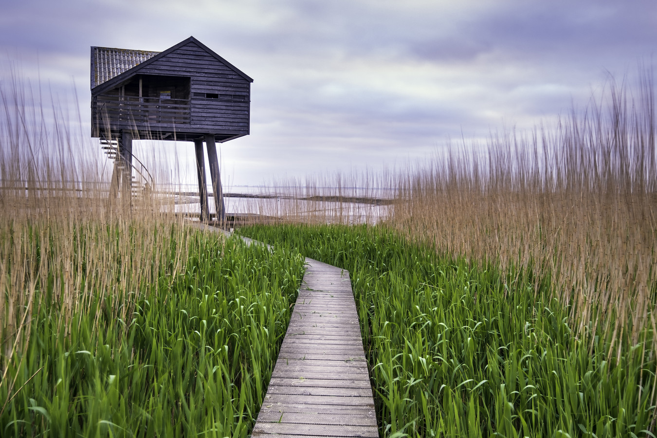 Wil je Nederland eens van boven bekijken? In deze 10 uitkijktorens kijk ...