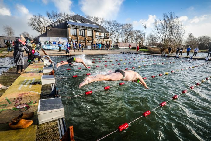IN BEELD. Met 120 ijsberen het (niet zo) koude water in: “Voor ons ...