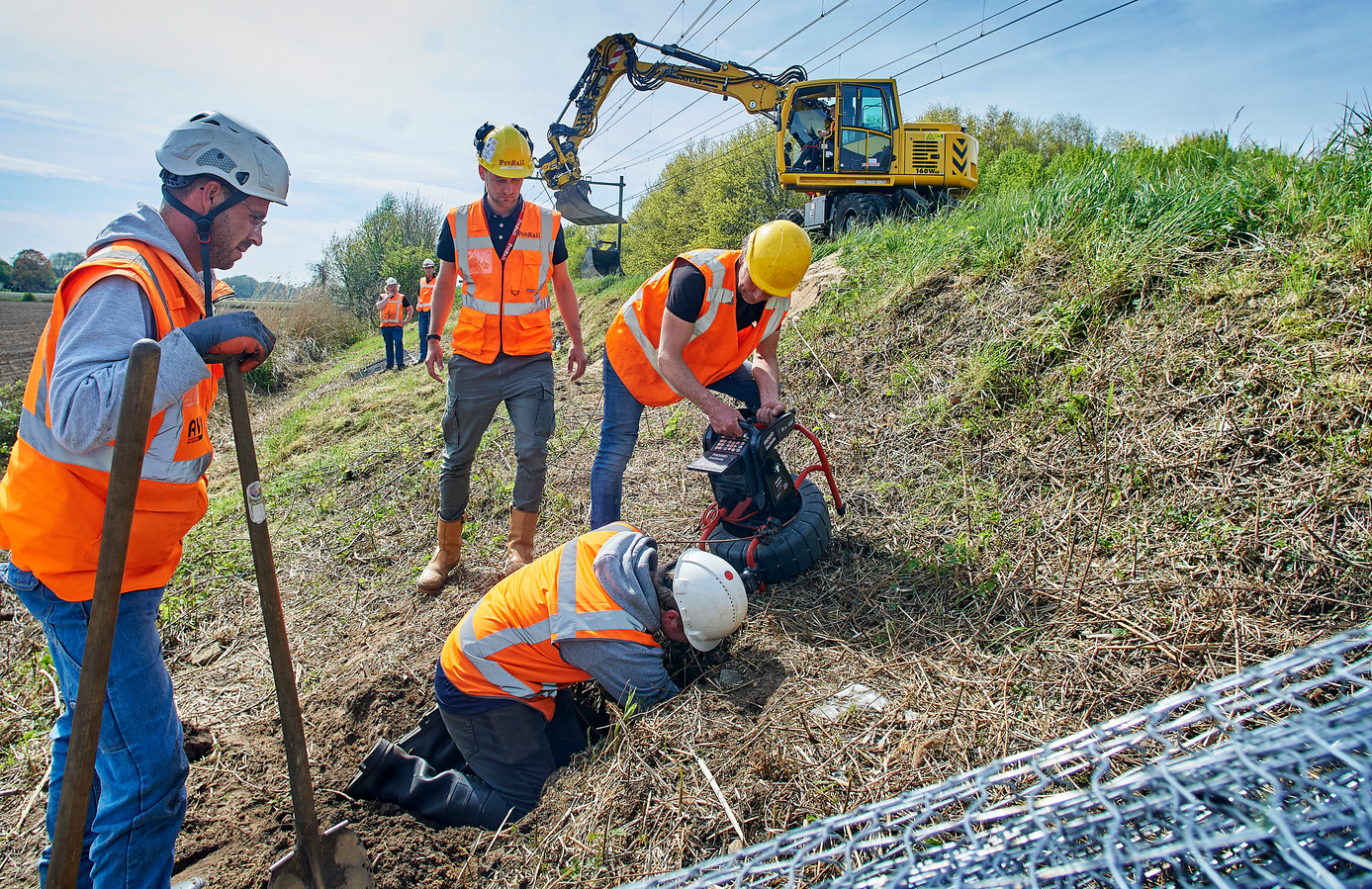 ProRail bindt strijd aan met dassen en bevers: speciaal team moet ... ProRail bindt strijd aan met dassen en bevers: speciaal team moet ...