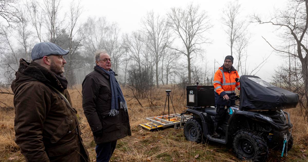 Ligt Tanja Groen in één van de gevonden ‘graven’? ‘Er is hoop, zeker ...