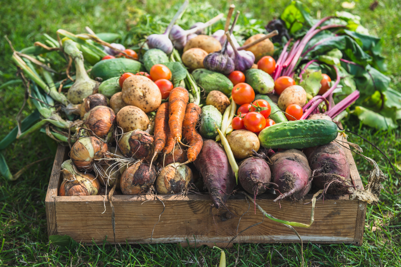 Biologische voeding valt door de mand: geregeld ongezonder dan gewone ...