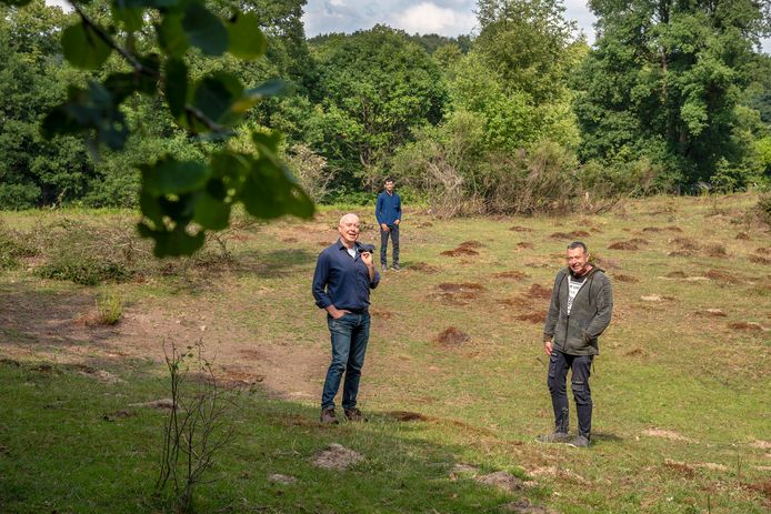 Bed is in Berg en Dal gespreid voor bijzondere eikenzandbij | Berg en ...