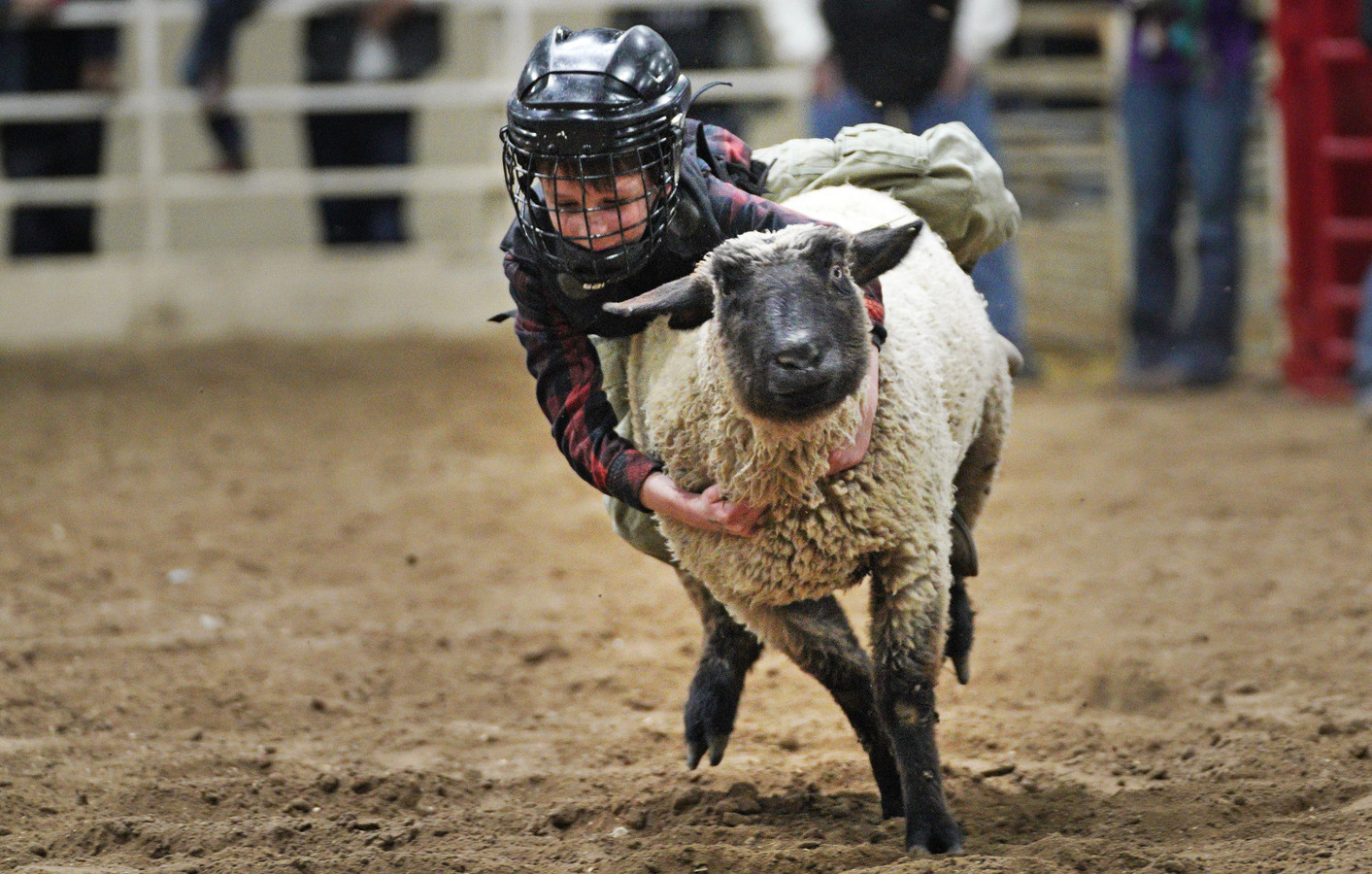 Deze foto's moet je gezien hebben | Foto | tubantia.nl
