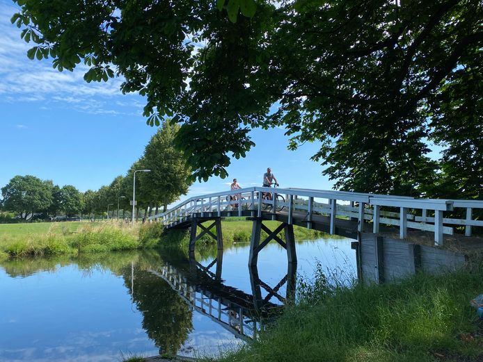 Met Truus op de trappers: ‘Ik heb er een zere kont van’ | Fietsen en ...