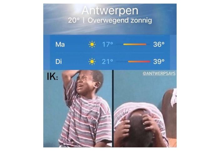 De hittegolf is misschien voorbij, maar de geestige memes erover zijn ...
