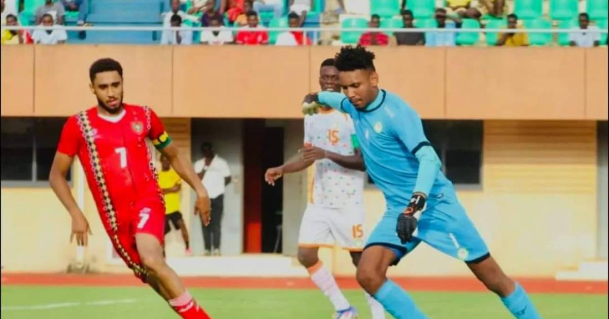 Ninove-coach Alan Haydock bewaart rust na vier nederlagen op rij: “Geen ...