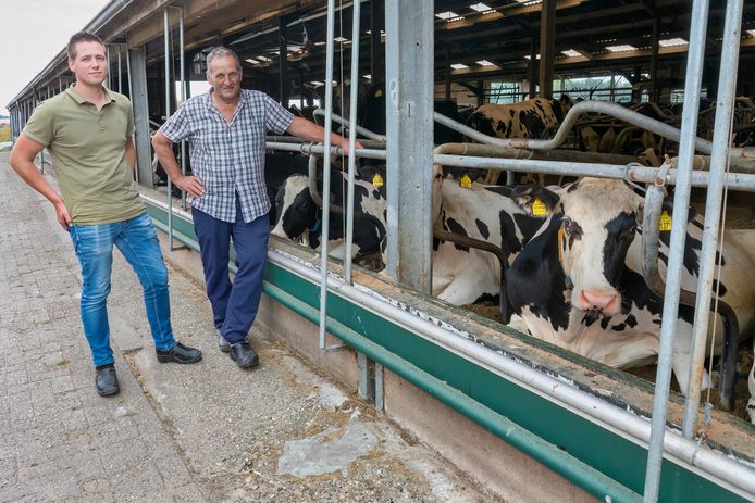 Jonge boer Frits (27) uit Terheijden gelooft in de toekomst: ‘Al dat ...