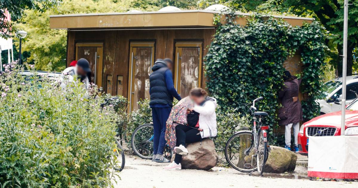 Verslaafden maken drugshol van wc-gebouw en weigeren parkbezoekers ...