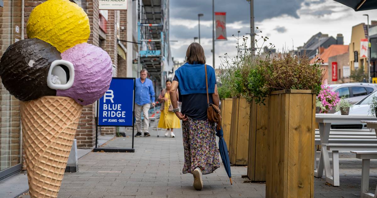 Stad brengt ‘shopper’ in centrum in kaart: “Nuttige data voor onze ...