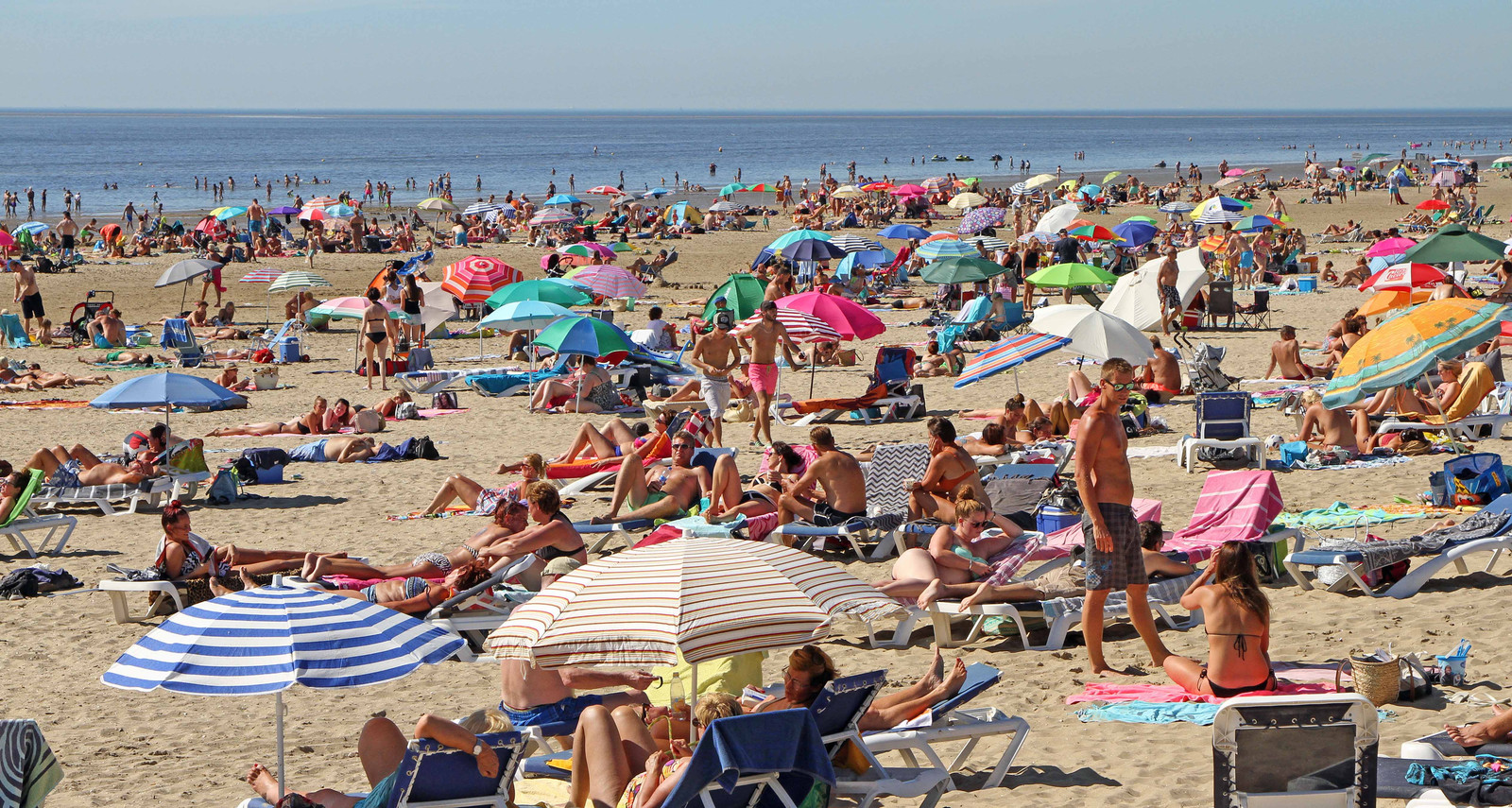 Zwemwater bijna overal 'uitstekend' | Foto | AD.nl