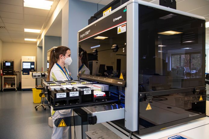 Labo AZ Sint-Blasius draait overuren om meer dan duizend Covid-testen ...