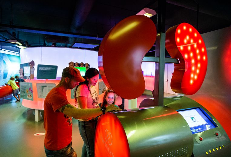 Een tripje door de darmen met het gezin: waarom is interactief museum ...