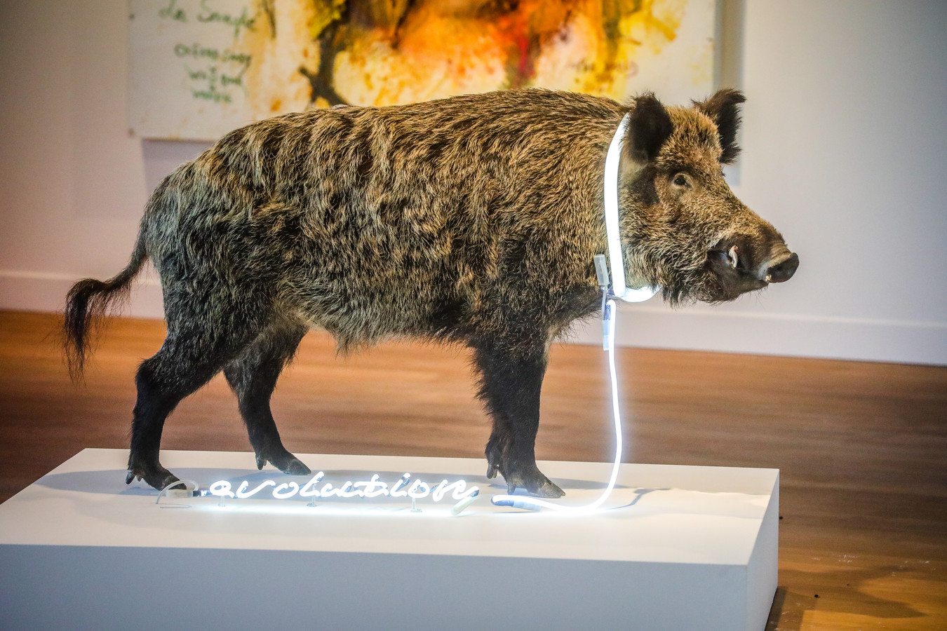 IN BEELD. Dit is de nieuwe expo van Koen Vanmechelen in Knokke-Heist ...