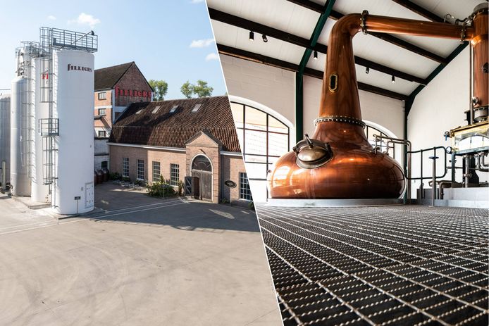 Deze 86 bedrijven zijn een bezoekje waard op Open Bedrijvendag: van de ...