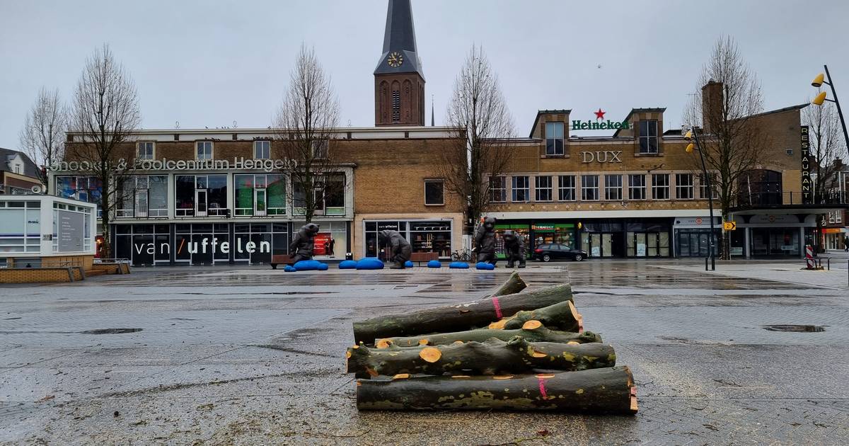 Bomen op Hengelose marktplein leggen het loodje, nu wachten op nieuwe ...