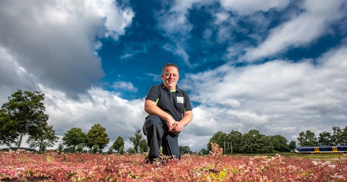 Dankzij Rolph uit Holten kleuren steeds meer daken in Nederland groen ...