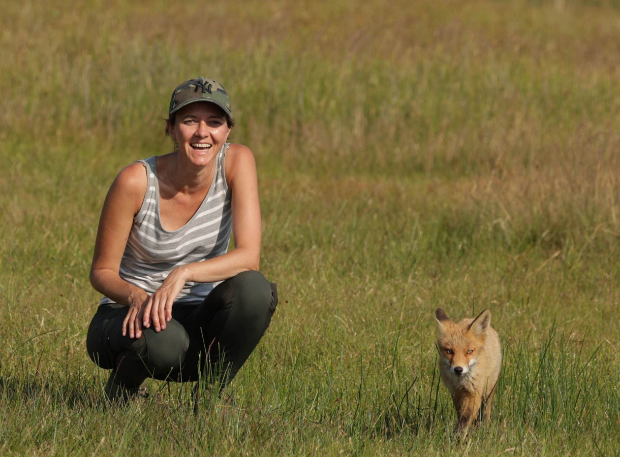 Zó schattig: Gentse Stephanie maakt prachtige foto’s van jonge vosjes ...