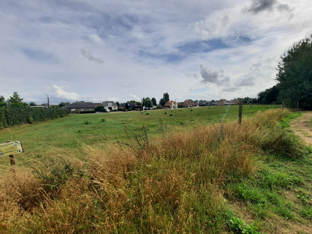 Waregem investeert 1 miljoen euro voor 8 hectare aan extra groen naast ...