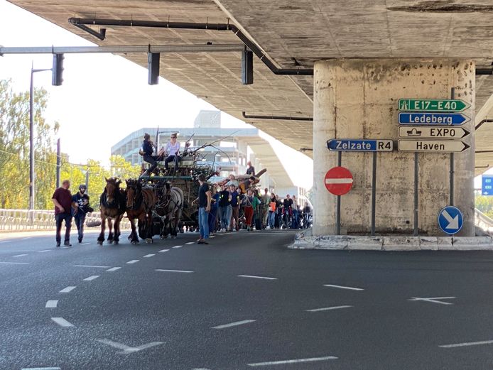 Dat zie je ook niet elke dag: paardenspan trekt 22 meter lange eik op ...