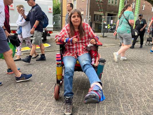 Teruglezen Vierdaagse | 39.019 wandelaars hebben de finish gehaald ...