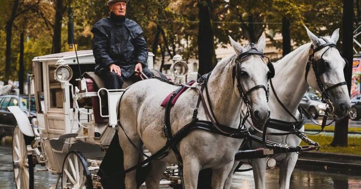 Win een koninklijk ritje met paard en wagen | Den Haag | AD.nl
