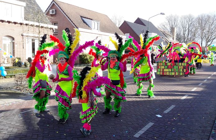 Waoterrijk brengt kleur met optocht op grijsgrauwe zondag | Den Bosch ...