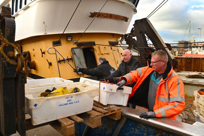 Zes Zeeuwse vissersschepen gesloopt bij sanering vloot | Vlissingen ...