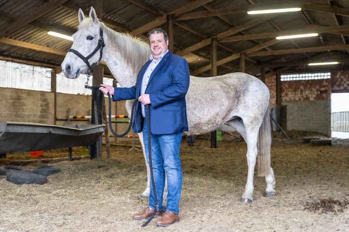 Sint-Niklaas zet opmerkelijke kandidaat in bij Vlaams kampioenschap Tegelwippen: “Paard van ...