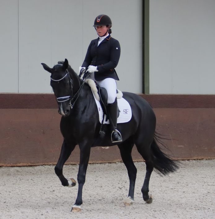 Stephanie de Frel heeft met Nicaragua een paard voor het zwaardere werk ...