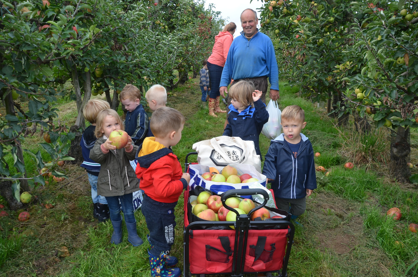 Fruitteler Filip zet boomgaard open: Kleuters uit Aspelaarse school ...