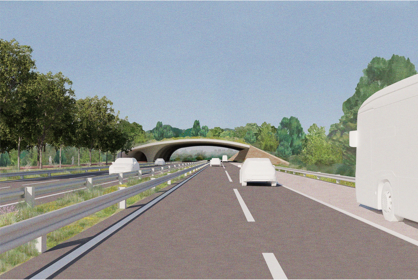 Twee tunnels, een trambusverbinding en ecoducten: plannen voor Noord ...