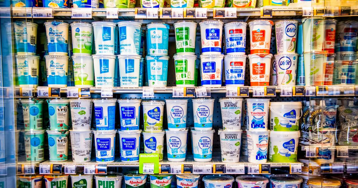 Yoghurt, kefir, skyr, kwark: dit zijn de verschillen | Koken & Eten | AD.nl