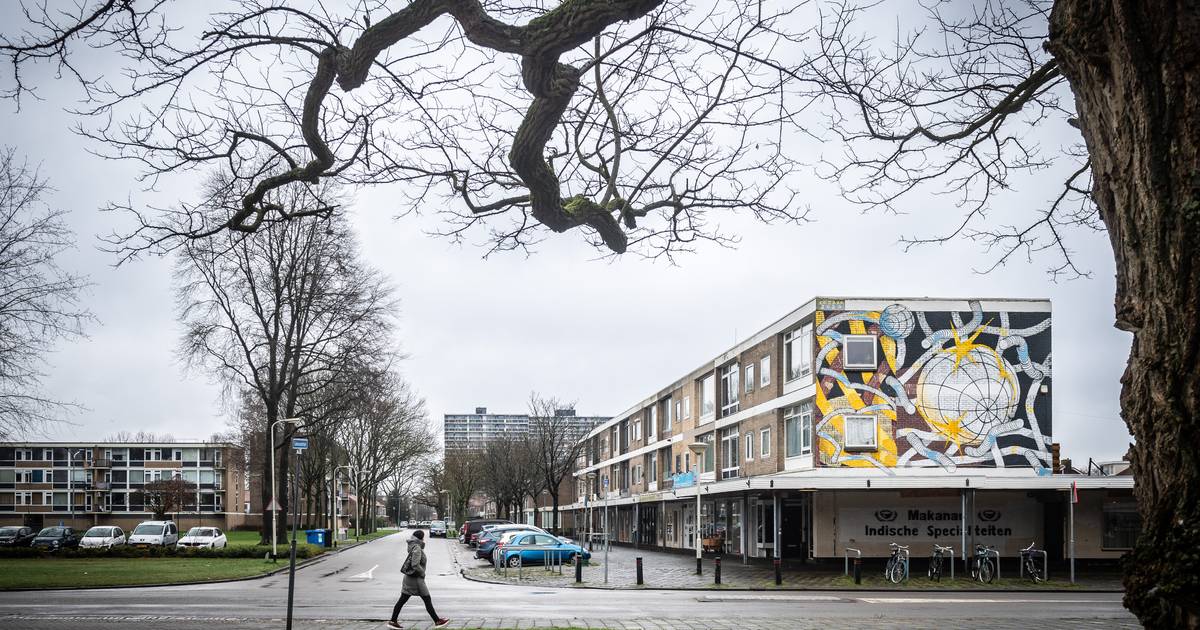 Niet zonder slag of stoot: nog dit jaar betaald parkeren in Brabantpark ...
