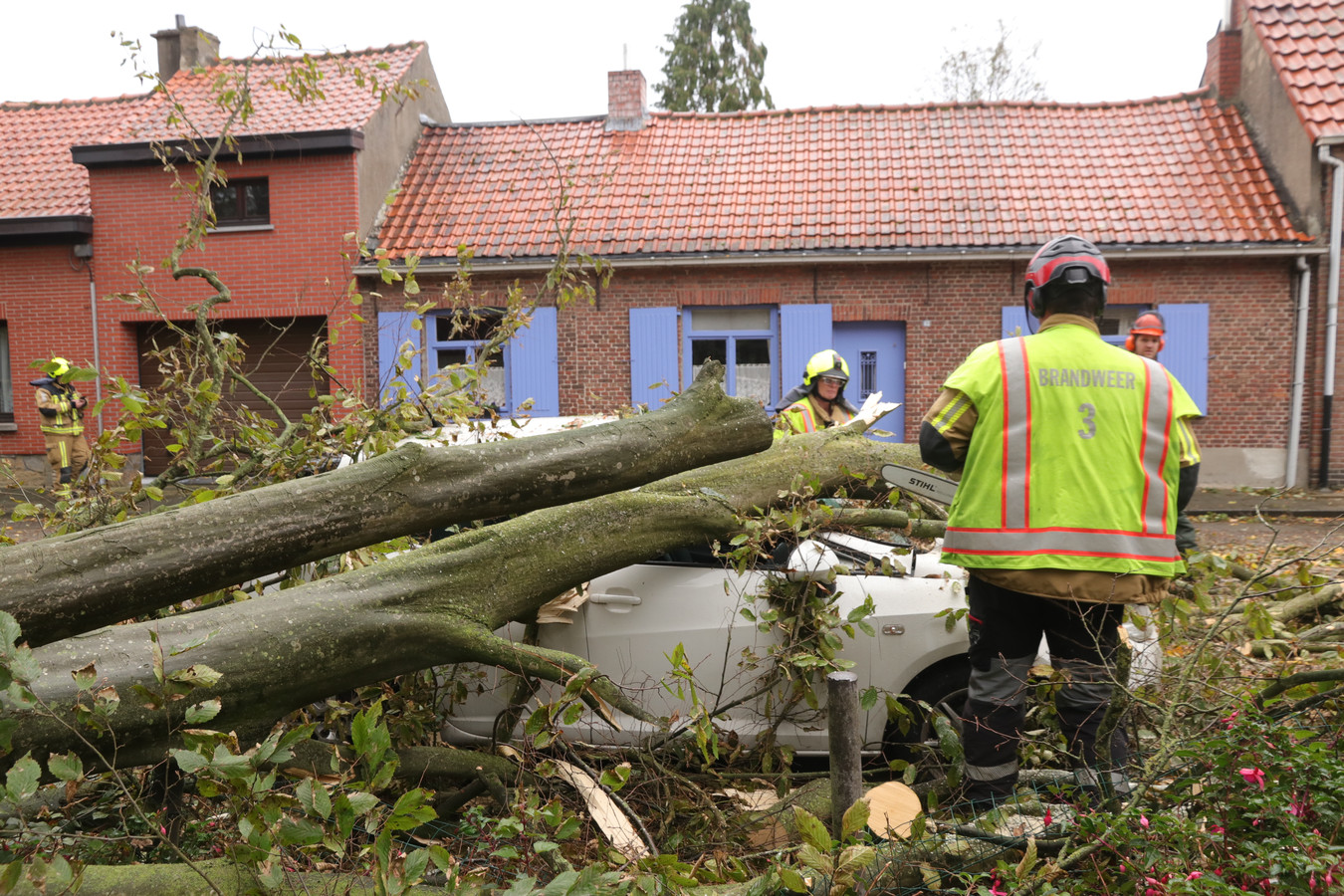 Hulpverleningszone Waasland krijgt 237 meldingen voor stormschade ...