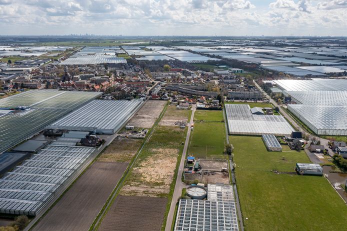 Eindelijk een hoop nieuwe huizen in De Heul: ‘Het hele dorp is er blij mee’ | Westland | AD.nl