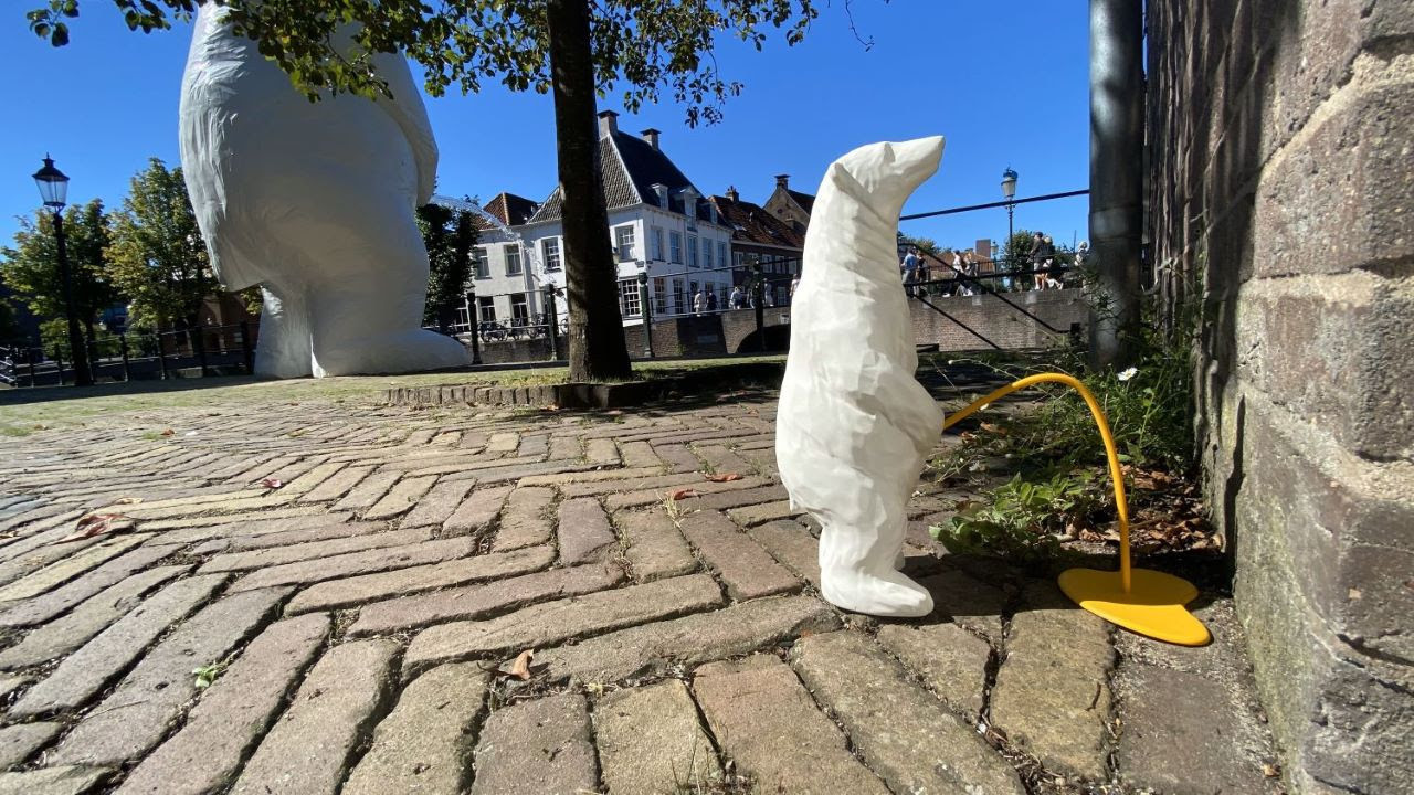 Wat doen we met de plassende ijsbeer? ‘Eindelijk eens iets unieks in de ...