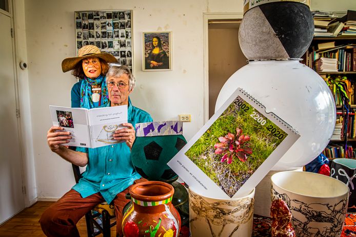 Werk van Hengelose kunstenaar Buursink past in geen enkel hokje ...