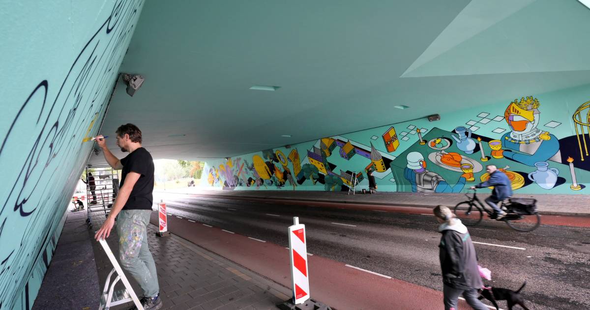 Krijgt Dukenburg alleen de afdankertjes? Die tijd is voorbij met deze muurschilderingen ...