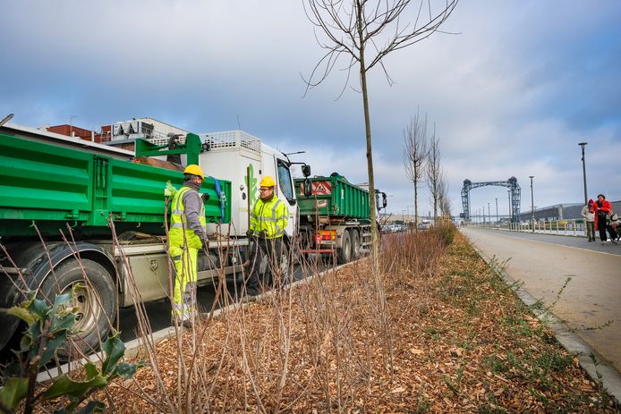 Groen fietspad langs kanaal richting Vilvoorde uitgebreid | Brussel ...