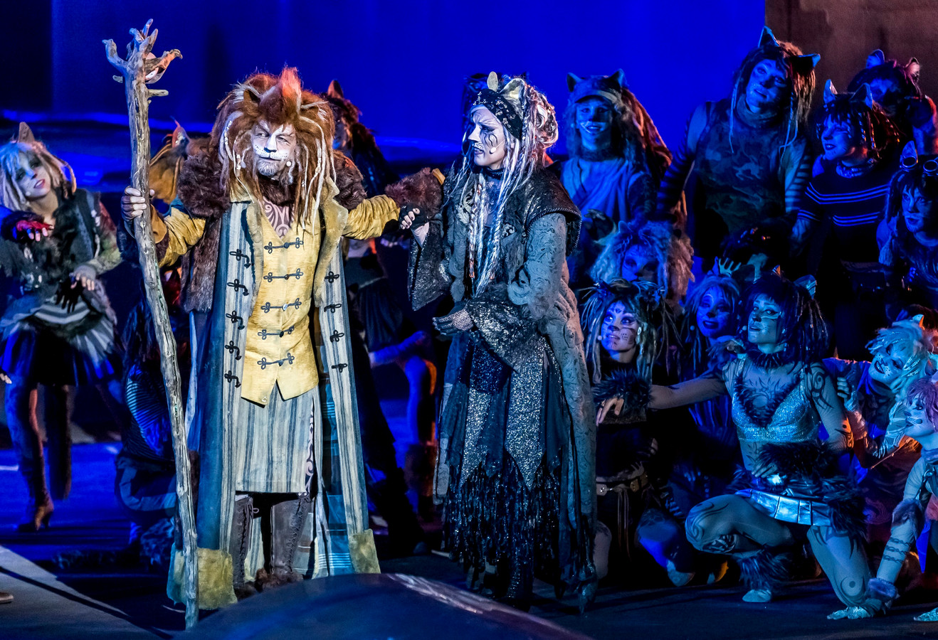 Run op kaarten voor Engelstalige musical Cats in Nederland | Foto | AD.nl