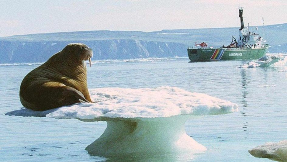 "IJsvrije Noordpool kan catastrofe zijn voor klimaat" | TROUW