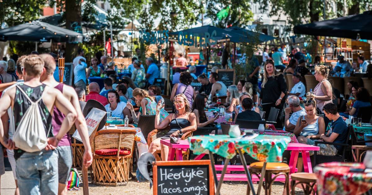 Arnhem Proeft! is dit jaar blij met schaduw | Arnhem e.o. | gelderlander.nl