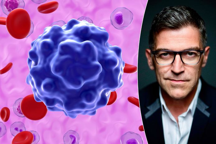 Parvovirus kent ongeziene toename in Nederland. Wat is het? En komt het ...