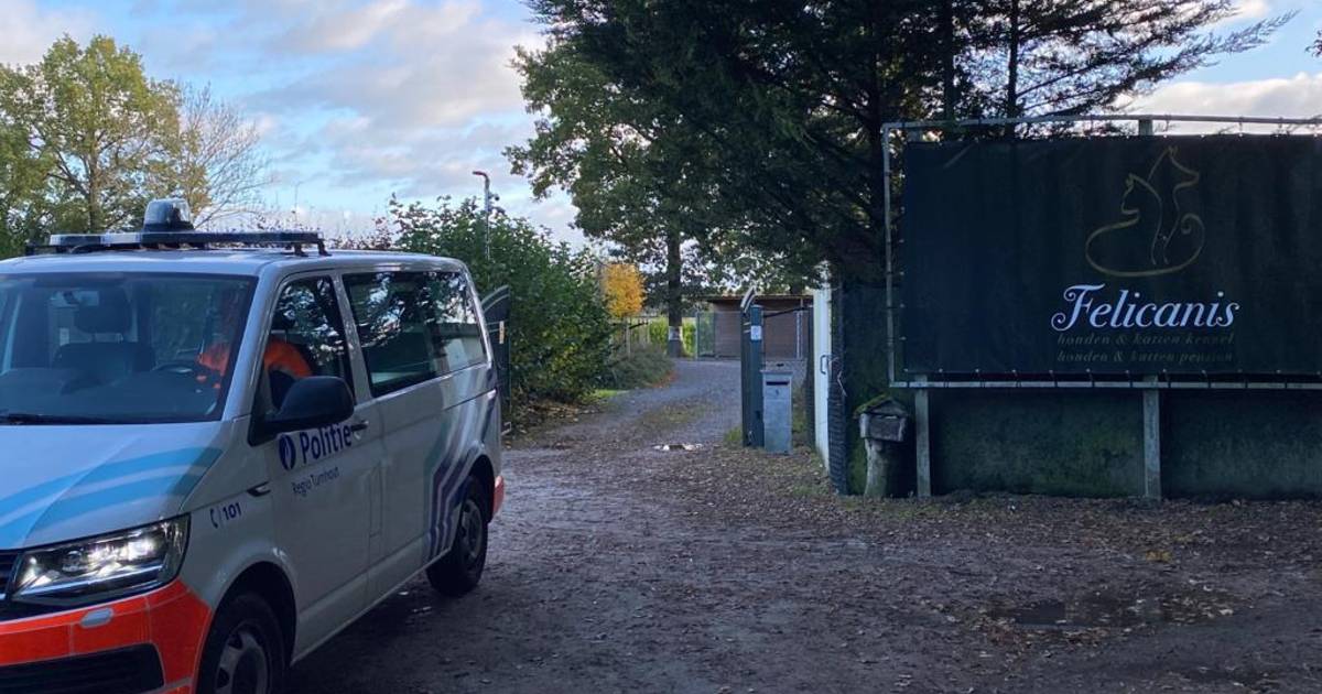 ‘Broodfokker’ Felicanis die vergunning verloor wilde deelnemen aan Open ...