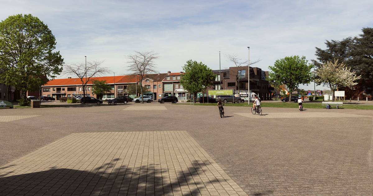 Prijzen voor huizen in Houthalen-Helchteren stijgen, appartementen worden goedkoper | Houthalen ...