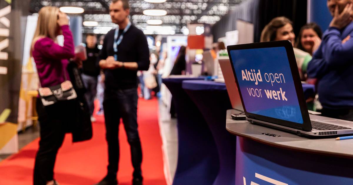 500 meter rode loper voor 215 bedrijven en 2.450 studenten op PXL ...